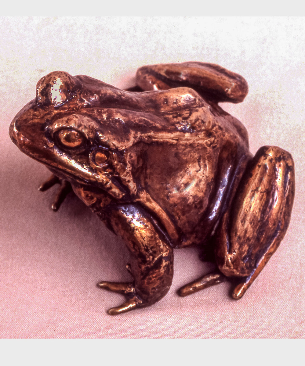 Large Common Frog Sculpture By Sally Arnup – Reindeer Antiques